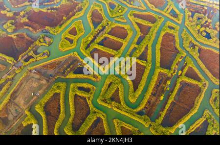 SUQIAN, CHINA - NOVEMBE 25, 2022 - Aerial photo shows the winding reed ...