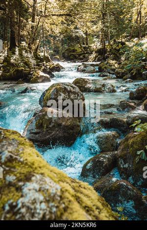 A raging river water with big rocks and trees Stock Photo - Alamy
