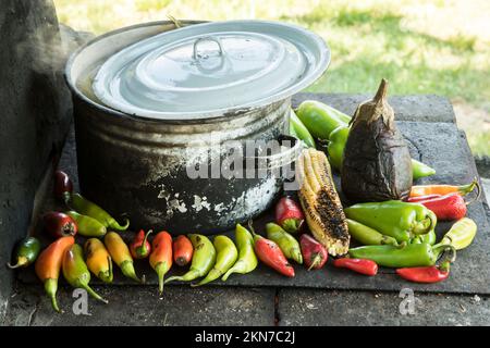Roasting peppers and eggplant on iron plate on outdoor rustic hearth ...