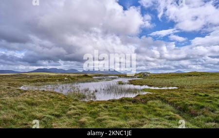 Bog and heather landscape in Connemara, County Galway, Republic of ...