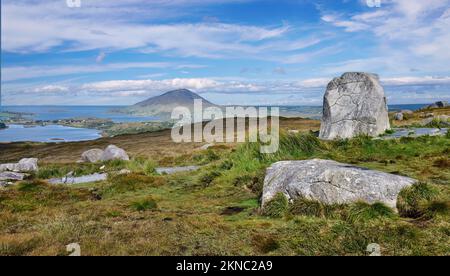 Bog and heather landscape in Connemara, County Galway, Republic of ...
