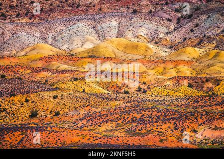 Painted Desert Colorful Yellow Grass Lands Orange White Sandstone Red ...