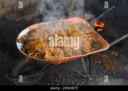 After the first distillation process of the crushed agave hearts, the ...