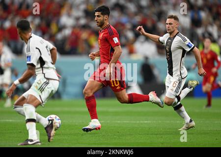 Al Khor, Catar. 27th Nov, 2022. Khor, Qatar. Credit: Marcelo Machado de ...