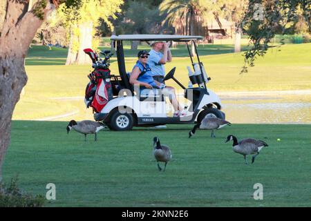 Orange Tree Golf Course, Scottsdale Stock Photo - Alamy