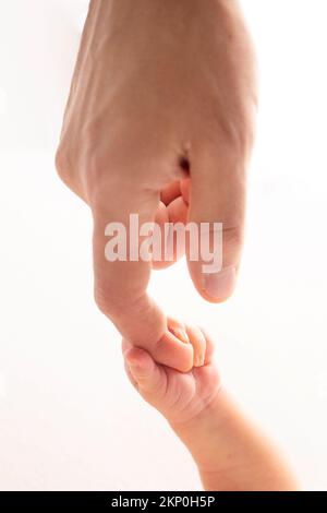 The newborn baby has a firm grip on the parent's finger after birth ...