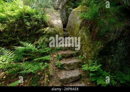 Rock, path, stairs, Luisenburg rock labyrinth, Wunsiedel ...