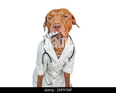Lovable, pretty puppy, wearing a doctor's coat Stock Photo - Alamy