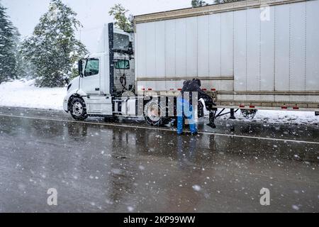 Experienced truck driver puts chains on the wheels of the big rig semi ...