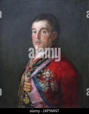 Francisco de Goya y Lucientes - The Duke Of Wellington - 1812 Stock ...
