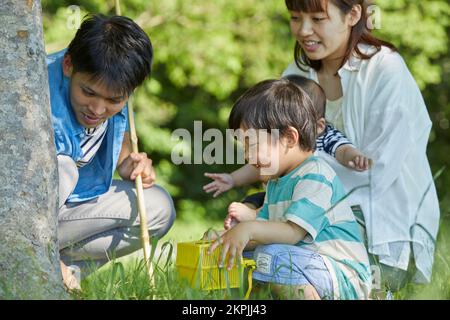 Japanese family collecting insects Stock Photo - Alamy