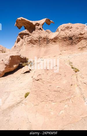 Cóndor sin cabeza (Headless Condor) at Valle de Rocas (Valley of Rocks ...
