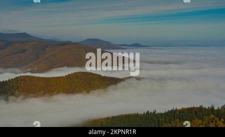 vosges mountains late november, fog in the valley of alsace Stock Photo ...