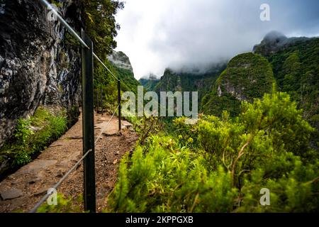 Description: Mystical atmosphere on the adventurous cliff jungle trail ...