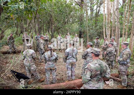 8th Military Police Brigade Commander, Col. Charles A. Green, discussed ...