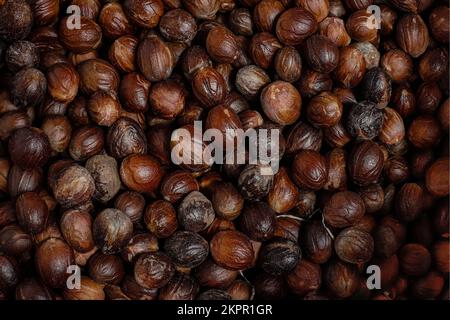 Nutmeg in sack at the market, an aromatic spice and major crop, Ulu ...
