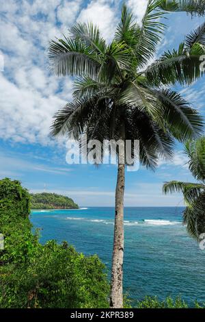 Coral reef off the coast of Sulawesi Indonesia Stock Photo - Alamy