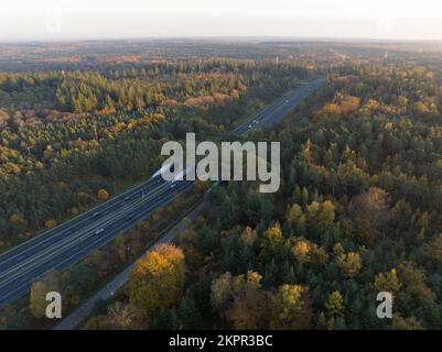 Ecoduct, ecopassage, nature bridge or game changeover. Infrastructure ...