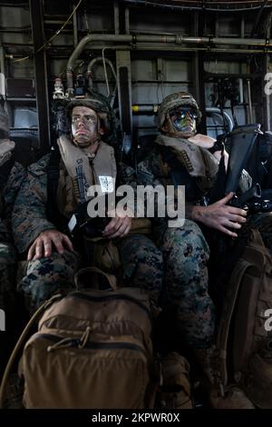 U.S. Marine Cpl. Dakota D. Mcintyre, a combat engineer with Marine Wing ...