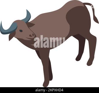 Dakota buffalo icon isometric vector. American bison. Animal family ...