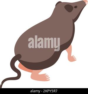 African shrew icon isometric vector. Mammal animal. Mouse picture Stock ...
