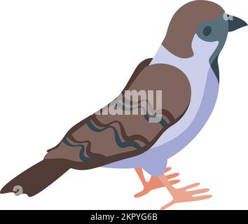 Small sparrow icon isometric vector. House bird. Male fly Stock Vector ...