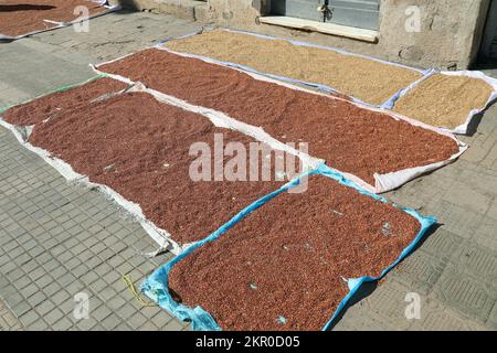 Teff drying on the streets of Asmara in Eritrea Stock Photo - Alamy