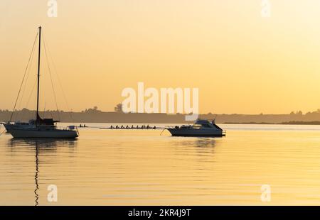 Golden hues of Tauranga Downtown waterfront sunrise over calm harbour ...