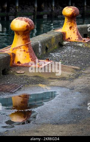 Yellow bollards on waterfront, Wellington, North island, New Zealand ...