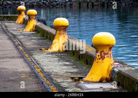 Yellow bollards on waterfront, Wellington, North island, New Zealand ...