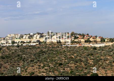 Salfit, Palestine. 28th Nov, 2022. General view of Barkan settlement ...