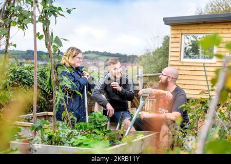 YMCA residents in the community garden at YMCA Exeter UK Stock Photo ...