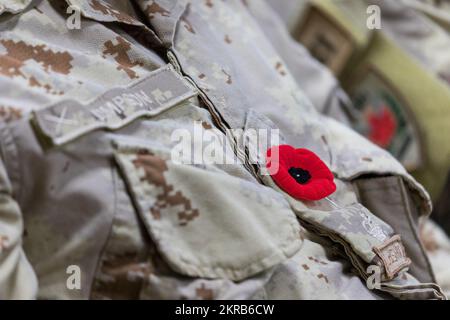 Lord Strathcona's Horse (Royal Canadians) (LdSH[RC]) is a regular ...