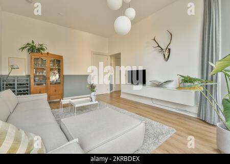 Comfortable couch located near bookcases with TV and decorations in ...