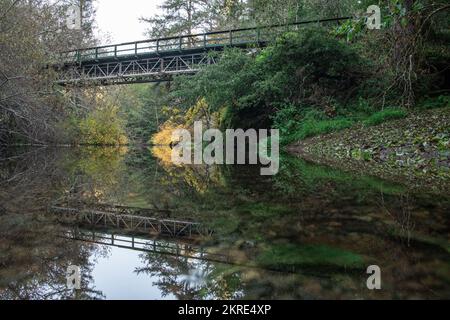Lagunitas creek in Marin county, California in the San Francisco Bay ...