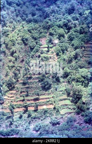 In hills, step farming, also known as terrace farming, is prevalent to ...