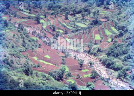 In hills, step farming, also known as terrace farming, is prevalent to ...