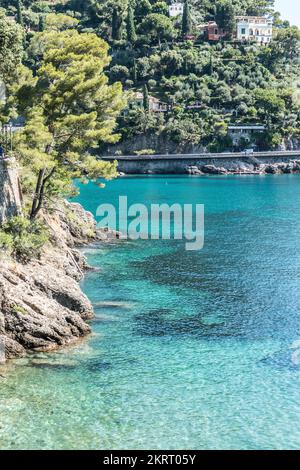 The bay of Paraggi in Portofino with green and transparent water Stock ...