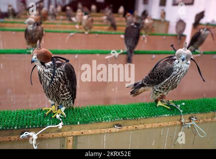 Doha-Qatar November 29, 2022, Football World Cup, match between United ...