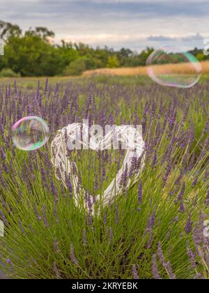 Let's hurry to love people. They leave so quickly. Sant Valentine's Day ...