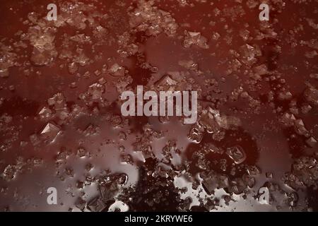 Ayr, Ayrshire, Scotland, UK, Blackthorn Salt. The first & only thorn ...