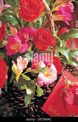 Red rosebuds and cerise freesias in the Vivid Contrast basket Stock ...