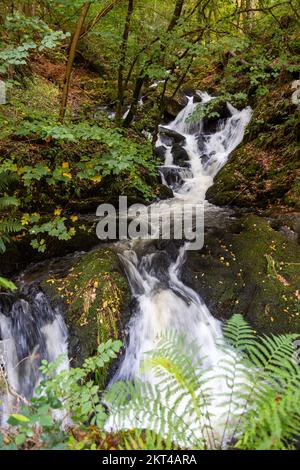 Waterfalls on the walk from the village of Arthog to Cregennan Lakes ...