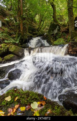 Waterfalls on the walk from the village of Arthog to Cregennan Lakes ...