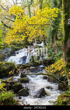 Waterfalls on the walk from the village of Arthog to Cregennan Lakes ...