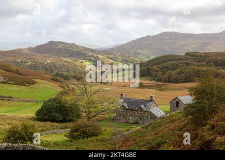 Isolated farmstead in uplands at Ty'n-Llidiart, Nr Llynnau Cregennan ...