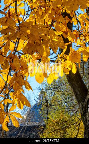 Walk through the Polish Garden at the Derzhavin estate on the ...