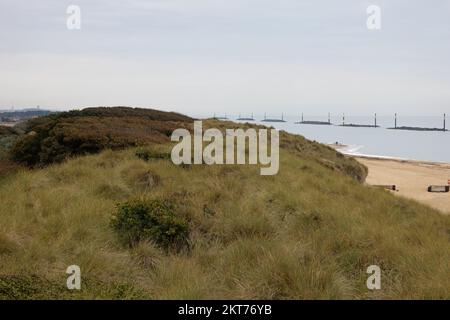 Waxham dunes & offshore reefs Sea Palling Norfolk GB UK September 2022 ...