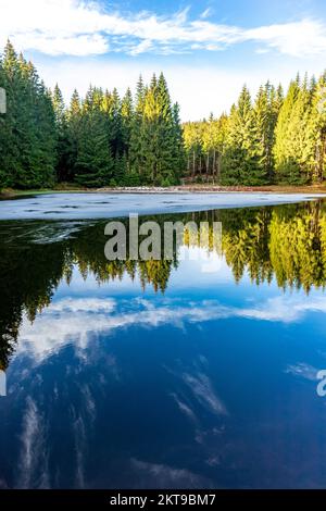 Autumn discovery tour through the Thuringian Forest near Oberhof ...