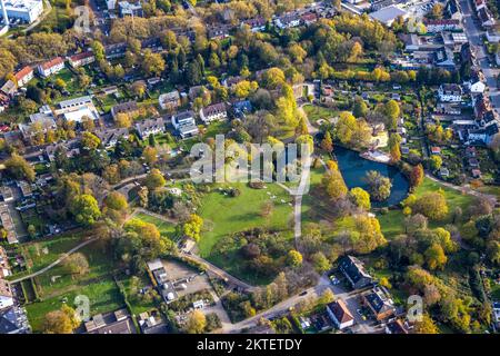 Aerial view, cranes flying over a forest in autumn colors ...